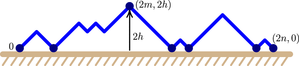 Trajectories of directed lattice paths - IOPscience