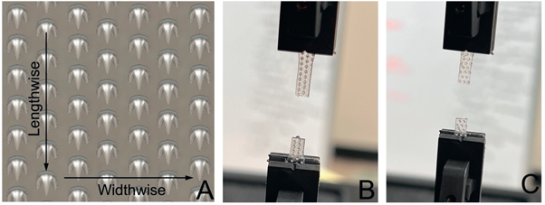 A study on the mechanical and antimicrobial properties of biomimetic ...