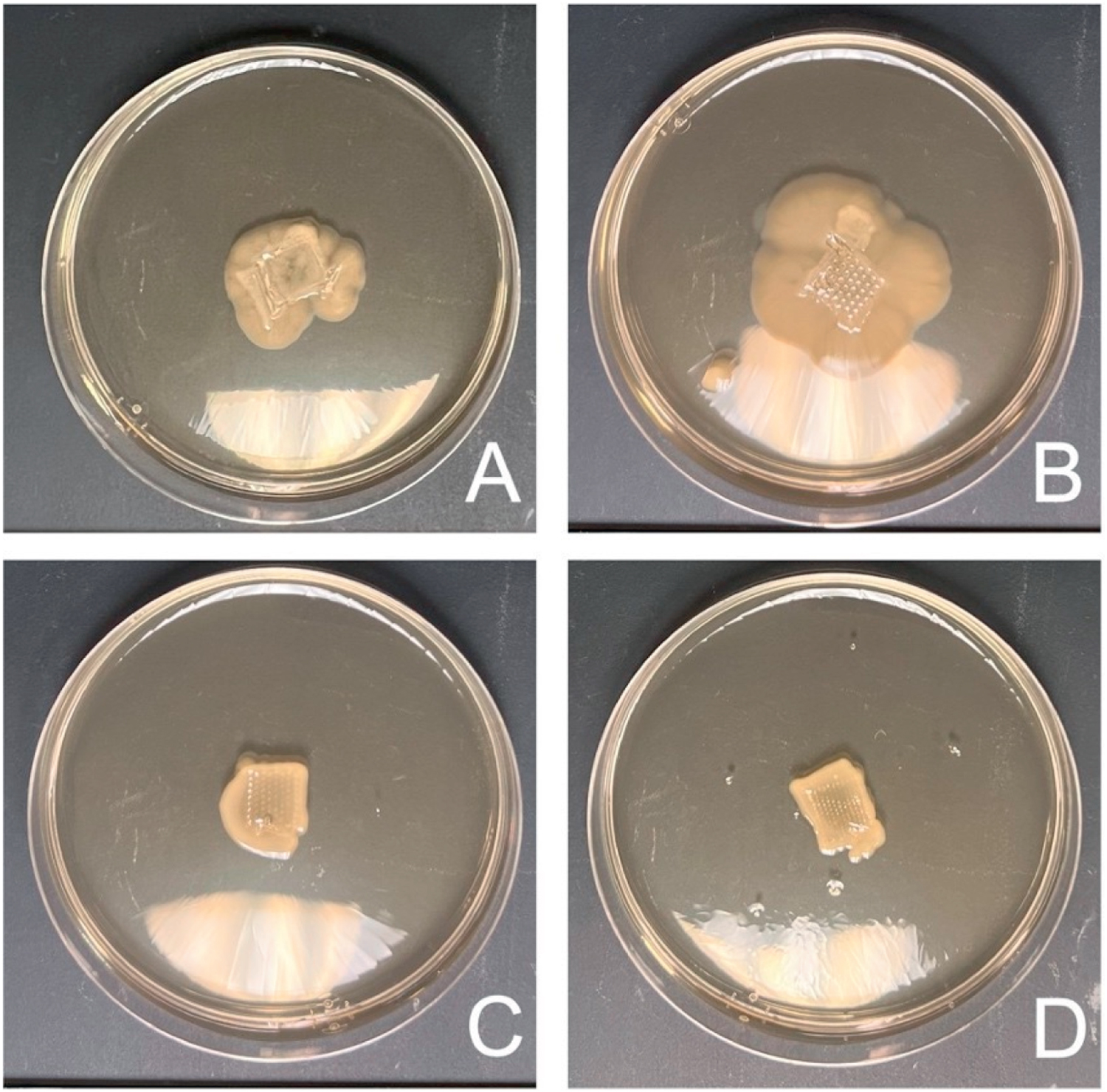 A study on the mechanical and antimicrobial properties of biomimetic ...