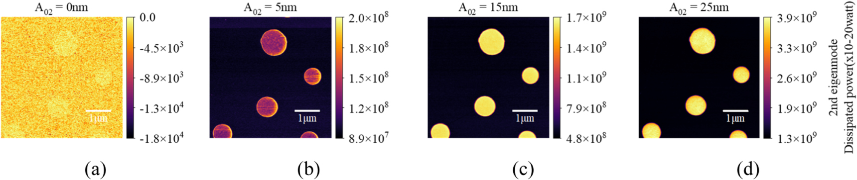 The effect of sample viscoelastic properties and cantilever amplitudes ...