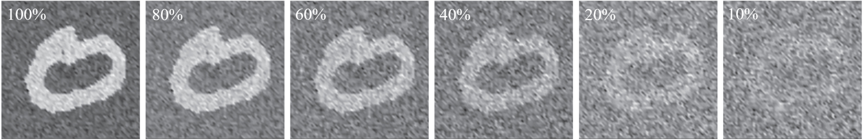 High-performance deep-learning based polarization computational ghost imaging with random ...