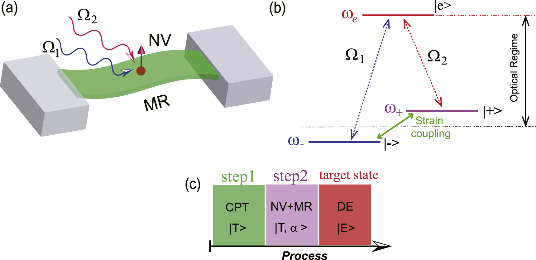 Robust scheme for high-fidelity generation of mesoscopic entangled cat ...