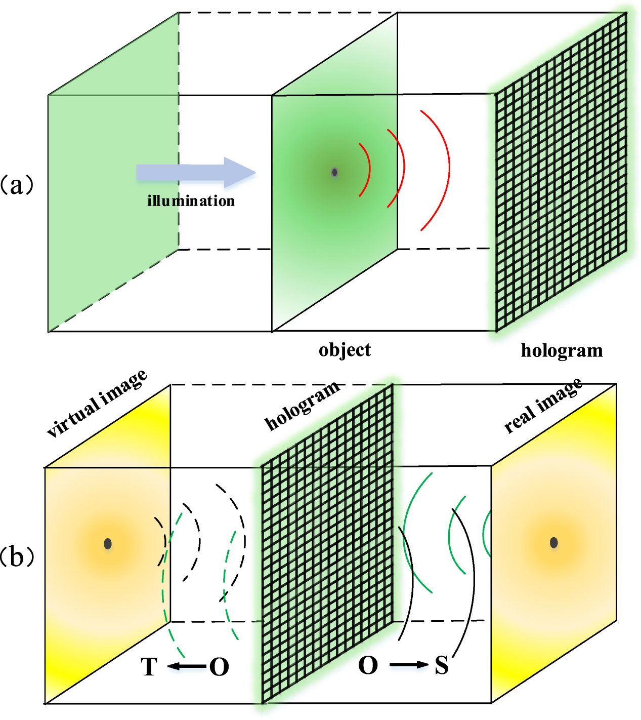Twin-image-free compressive holography with autofocusing from single ...