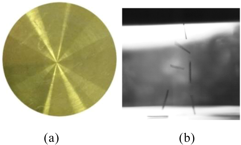 Physical mechanism of electrode coatings to suppress wire particle's ...