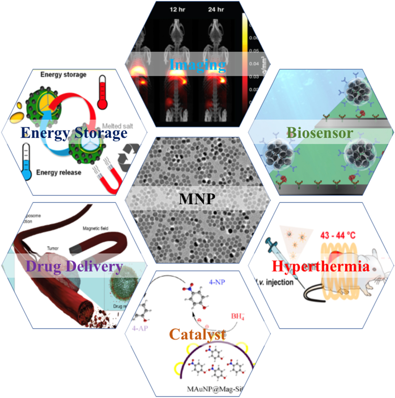 Static and dynamic magnetization models of magnetic nanoparticles: an ...
