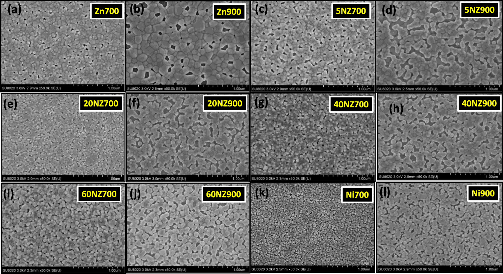 Evolution of structural phase transition from hexagonal wurtzite ZnO to ...