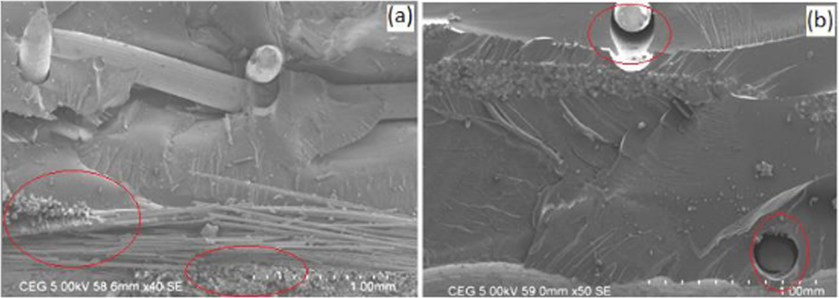 Significance of wire mesh reinforcement on carbon and glass fiber ...
