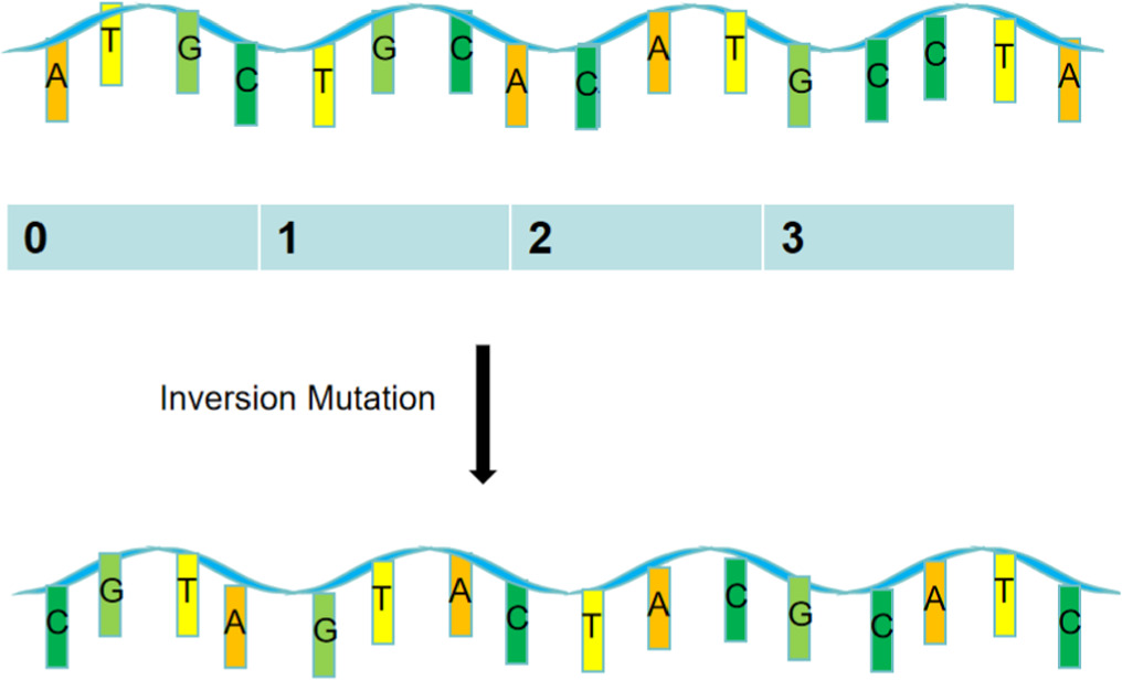 Image encryption algorithm based on DNA mutation and a novel four-dimensional hyperchaos ...