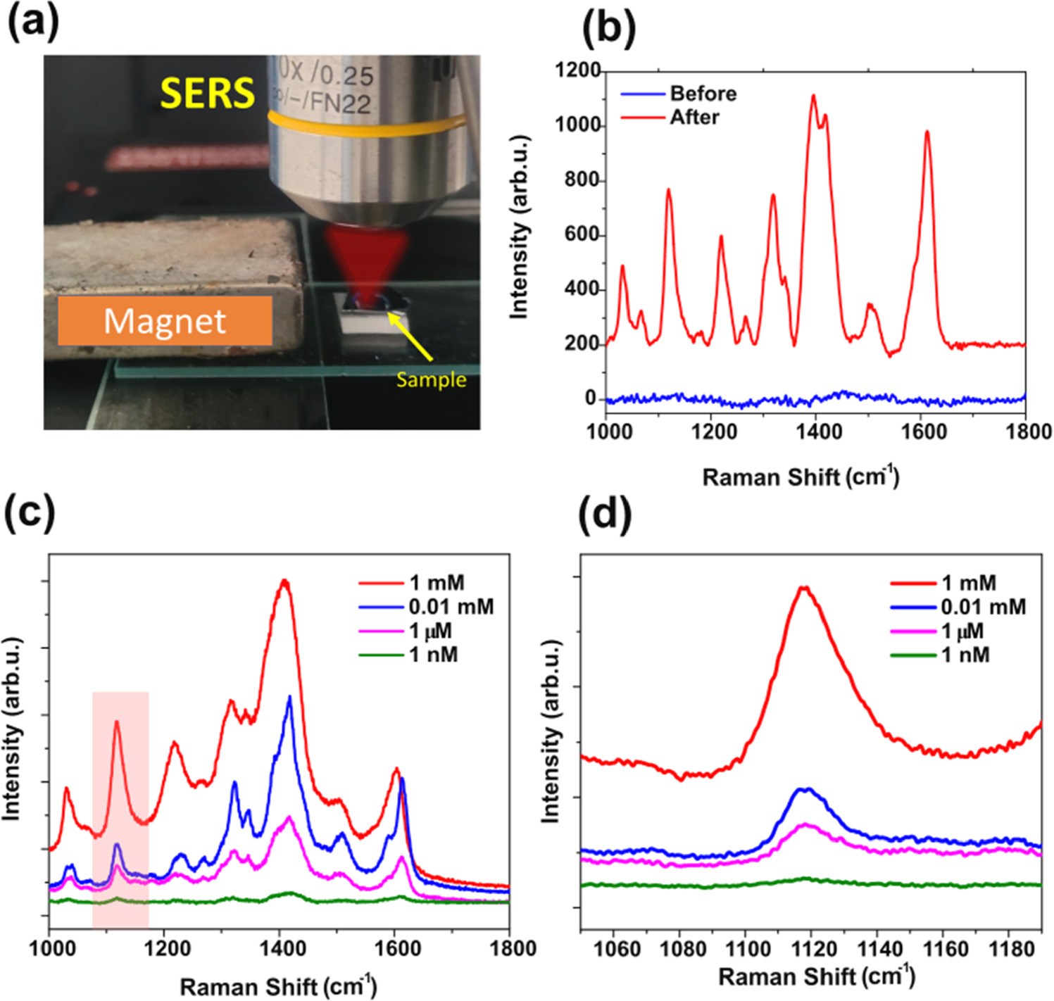 Magnetically-assembled multifunctional Fe3O4@SiO2@Au particles for SERS ...
