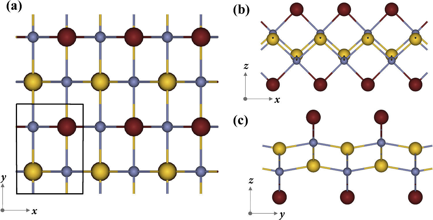 Strain-tunable electronic and magnetic properties of two-dimensional ...