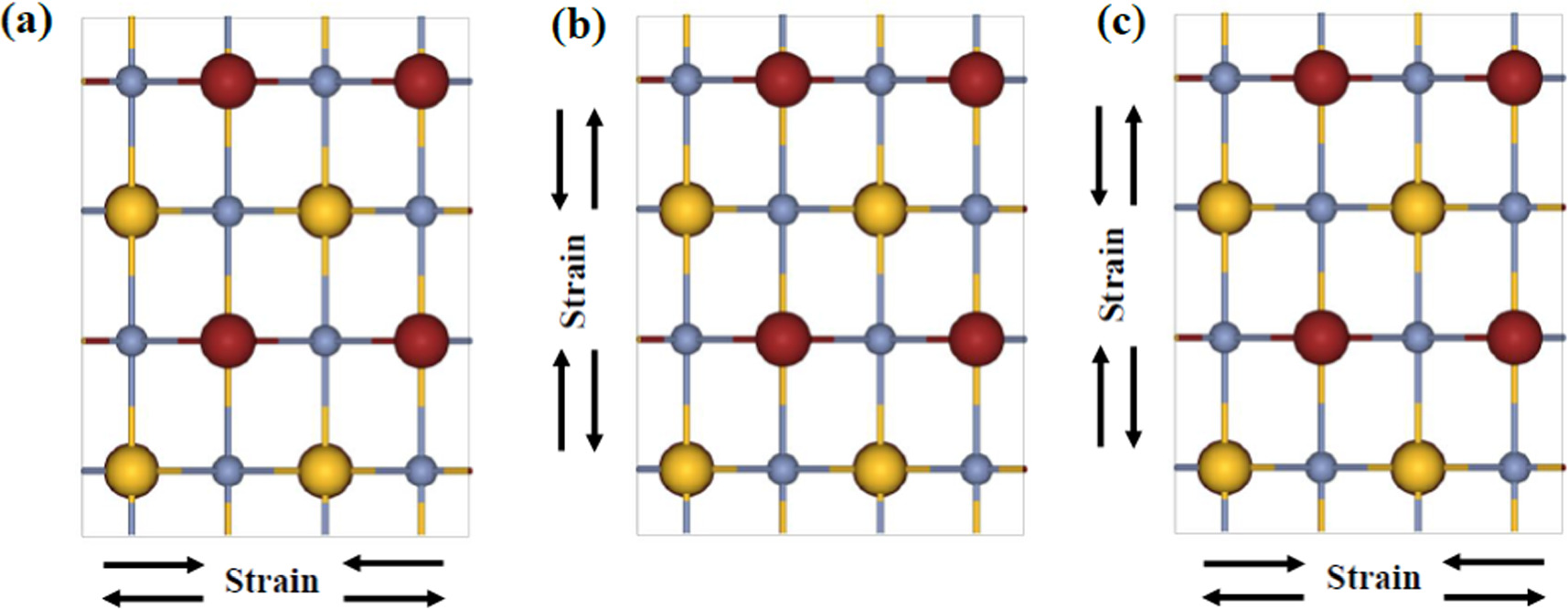 Strain-tunable electronic and magnetic properties of two-dimensional ...