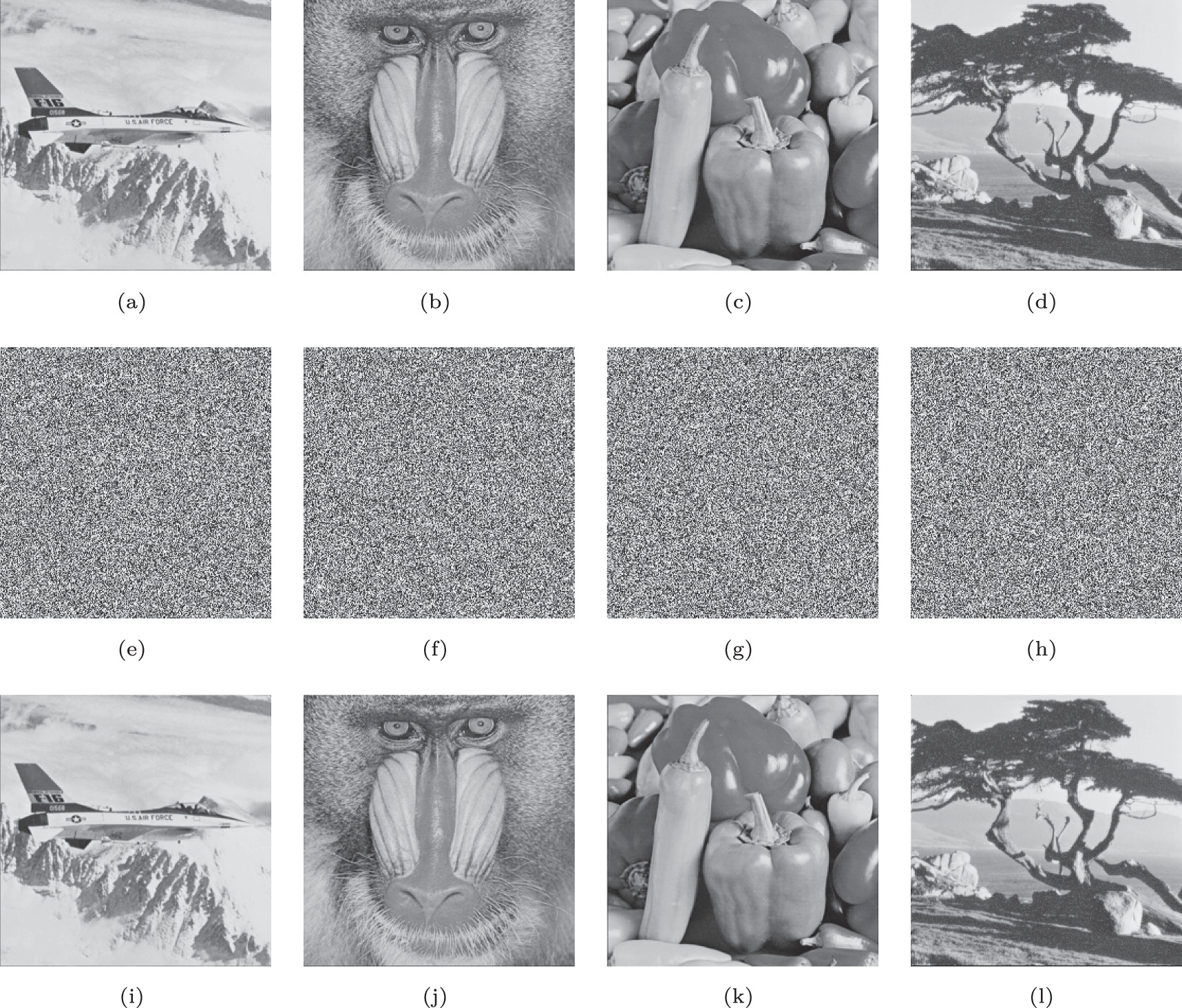 Image encryption algorithm based on improved iterative chaotic map with infinite collapses and ...