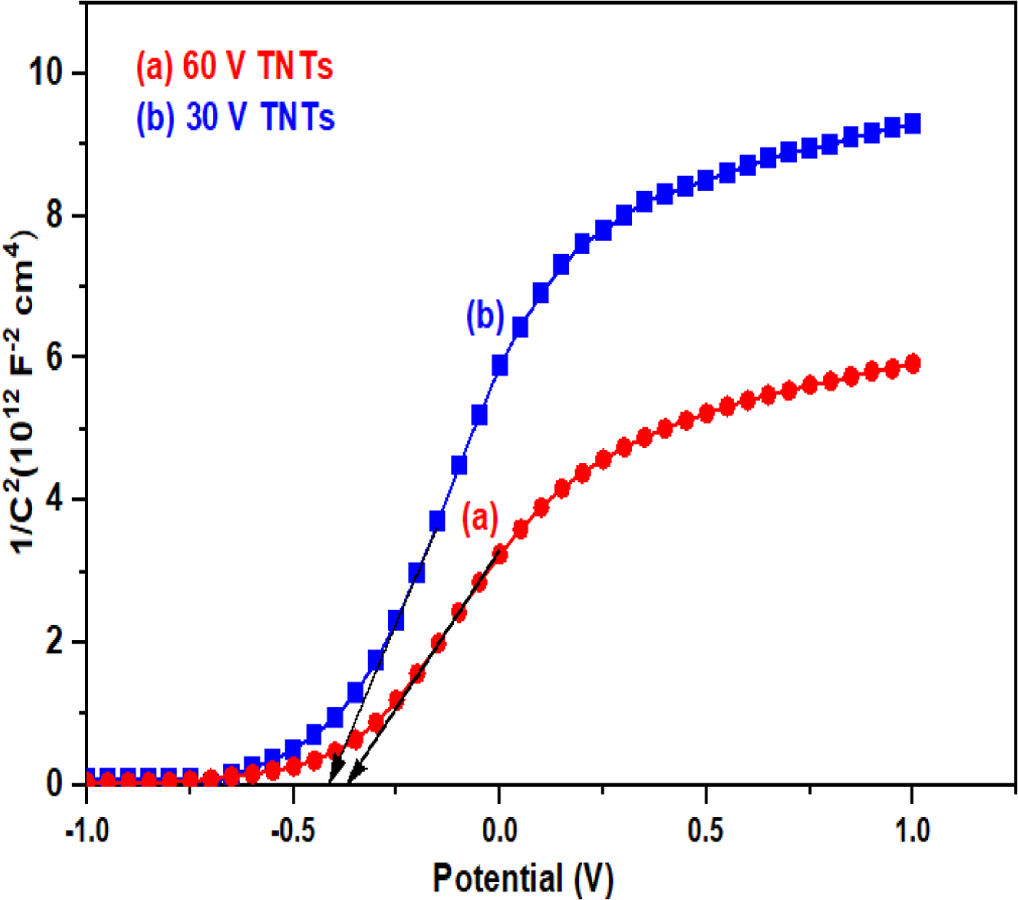 Anodic TiO2 nanotubes for hydrophobic coatings and photo ...