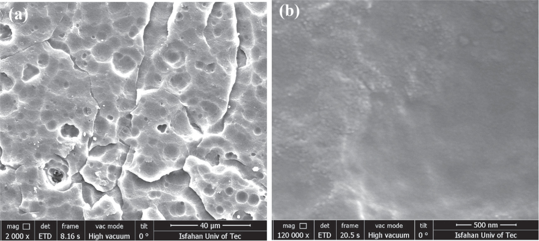 The effect of time and heat exposure on the wettability and glossiness ...