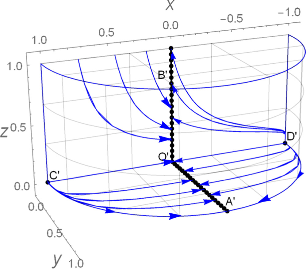 Dynamical system analysis of scalar field cosmology in coincident f(Q ...