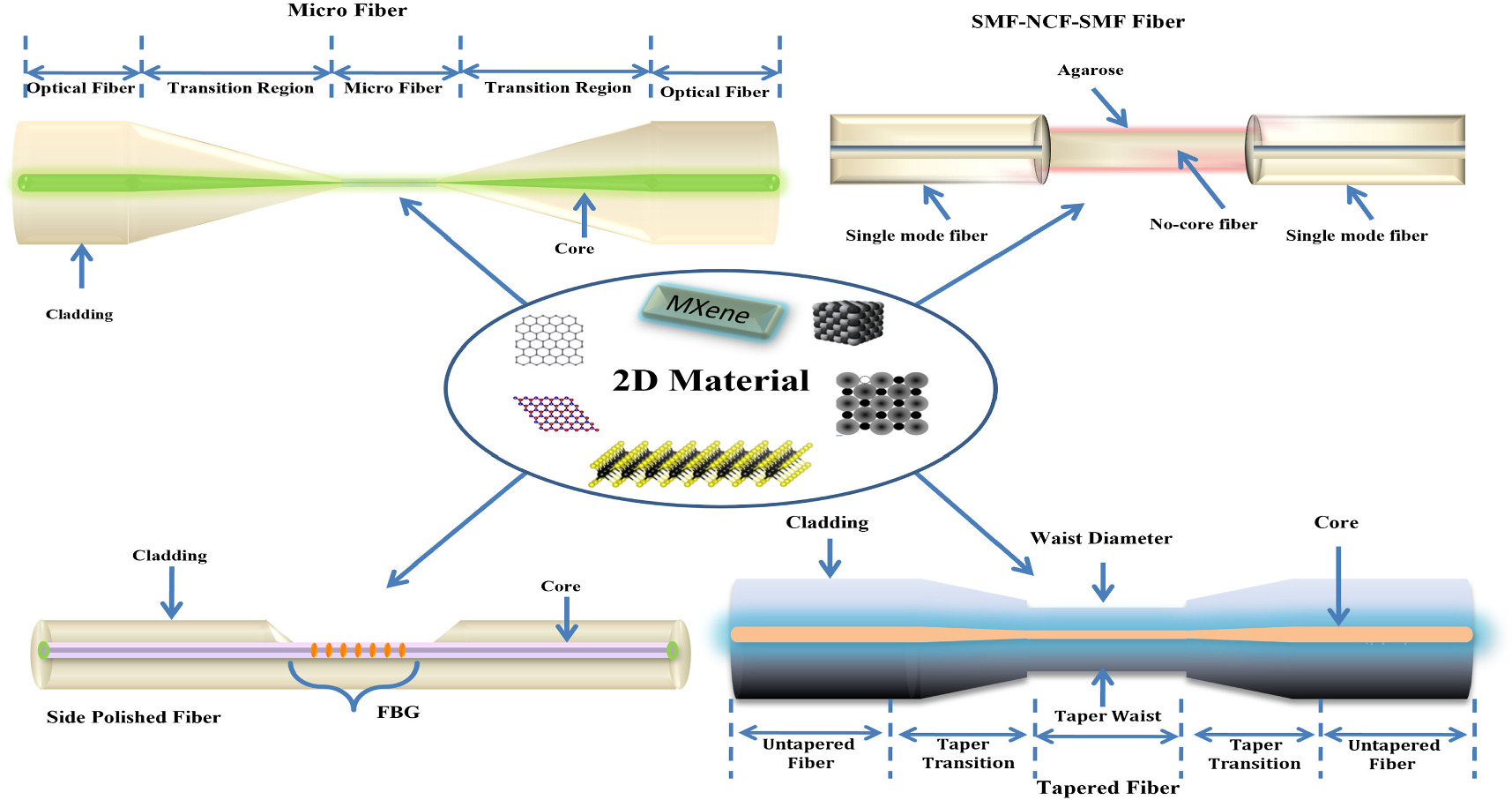 A two-dimensional nanomaterial-based fiber optic sensor for humidity ...
