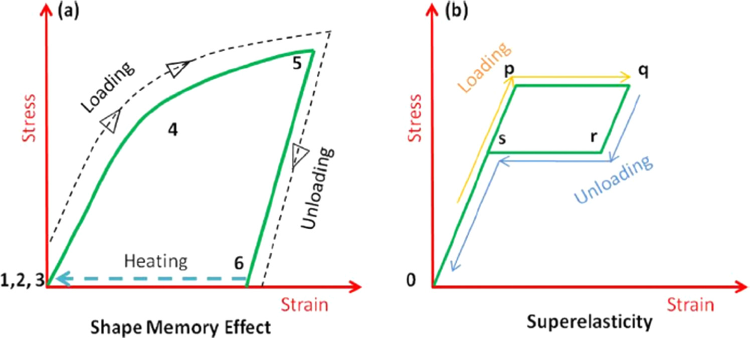 Processing of shape memory alloys research, applications and ...