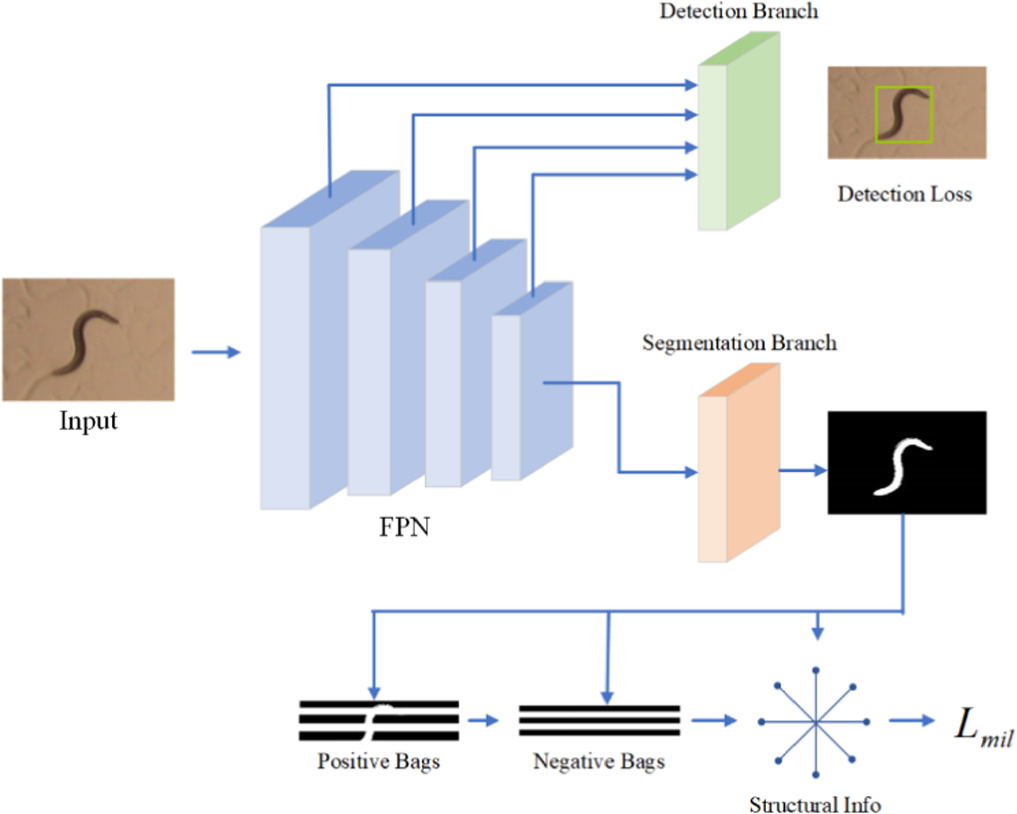 Standard image High-resolution image
