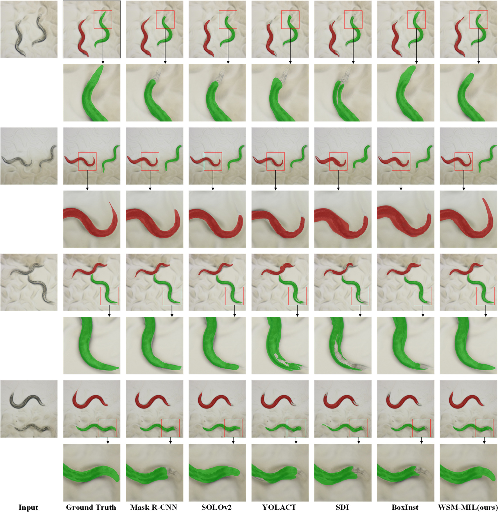 Standard image High-resolution image