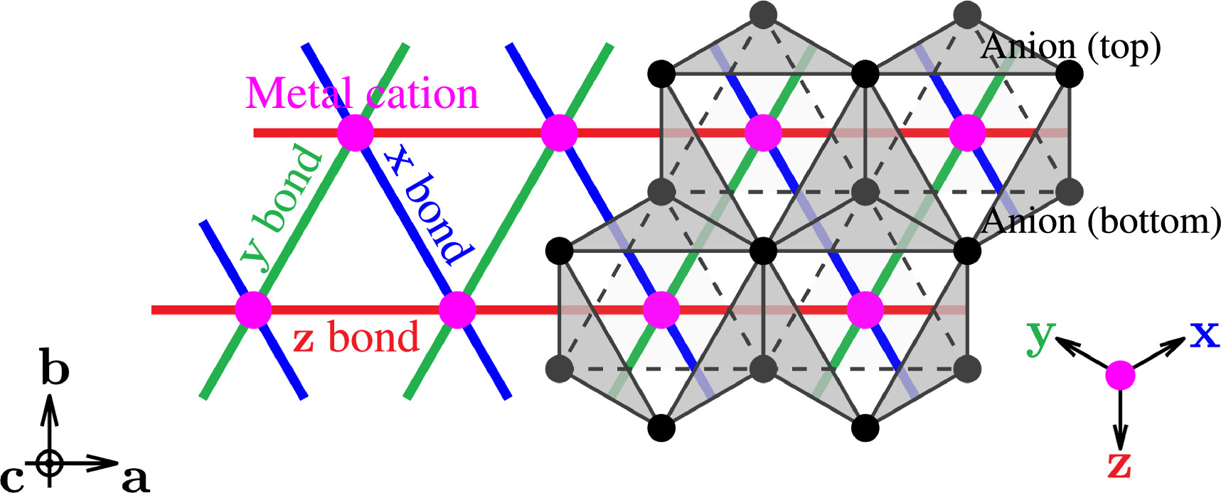 Topological magnons in a non-coplanar magnetic order on the triangular ...
