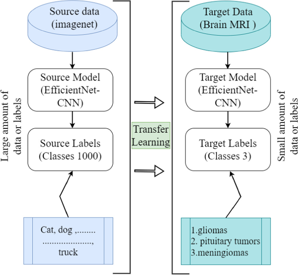Brain tumor detection through novel feature selection using deep efficientNet-CNN-based features ...