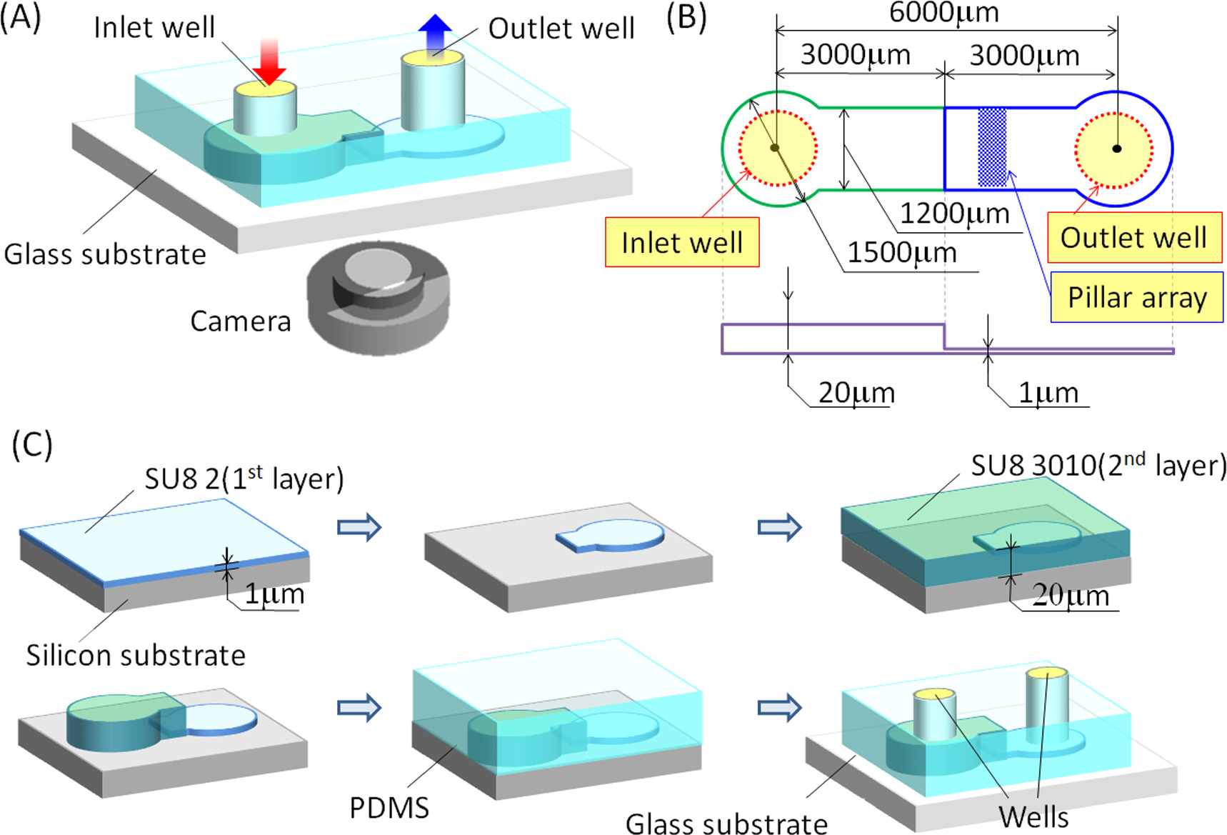 Cell size and deformation measurement using constrictions integrated ...