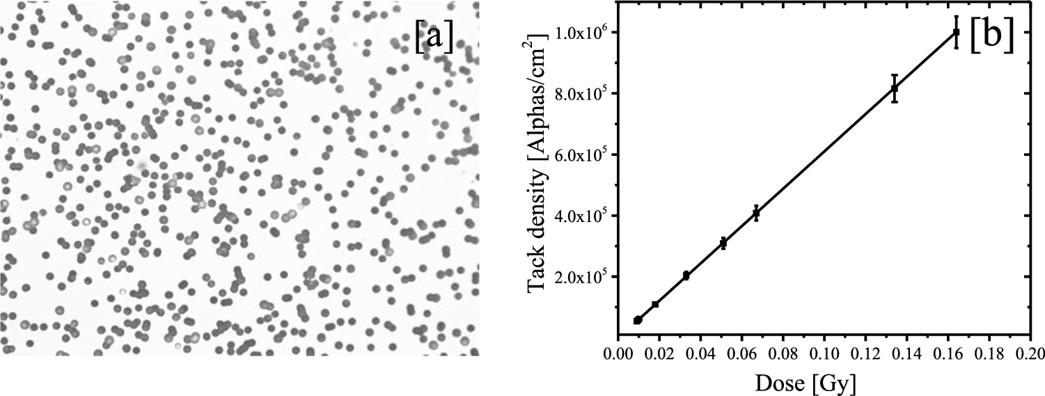 Low energy alpha particles dose mapping with a combination of CR-39 ...