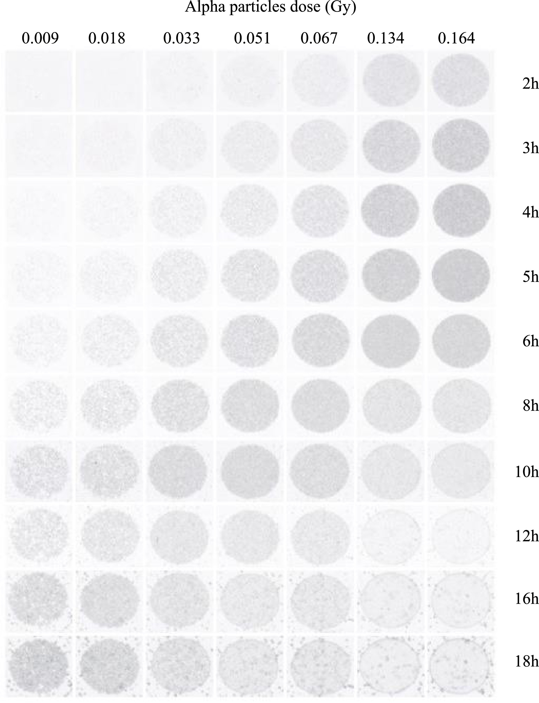 Low energy alpha particles dose mapping with a combination of CR-39 ...