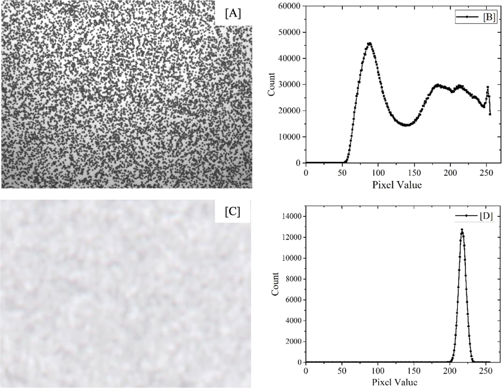 Low energy alpha particles dose mapping with a combination of CR-39 ...