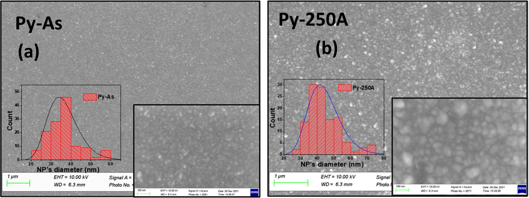 Magnetization dynamics and domain reversal in electrodeposited ...