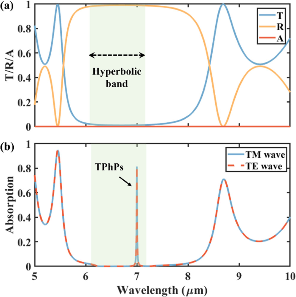 Tamm phonon-polaritons triggered in hyperbolic material hexagonal boron ...