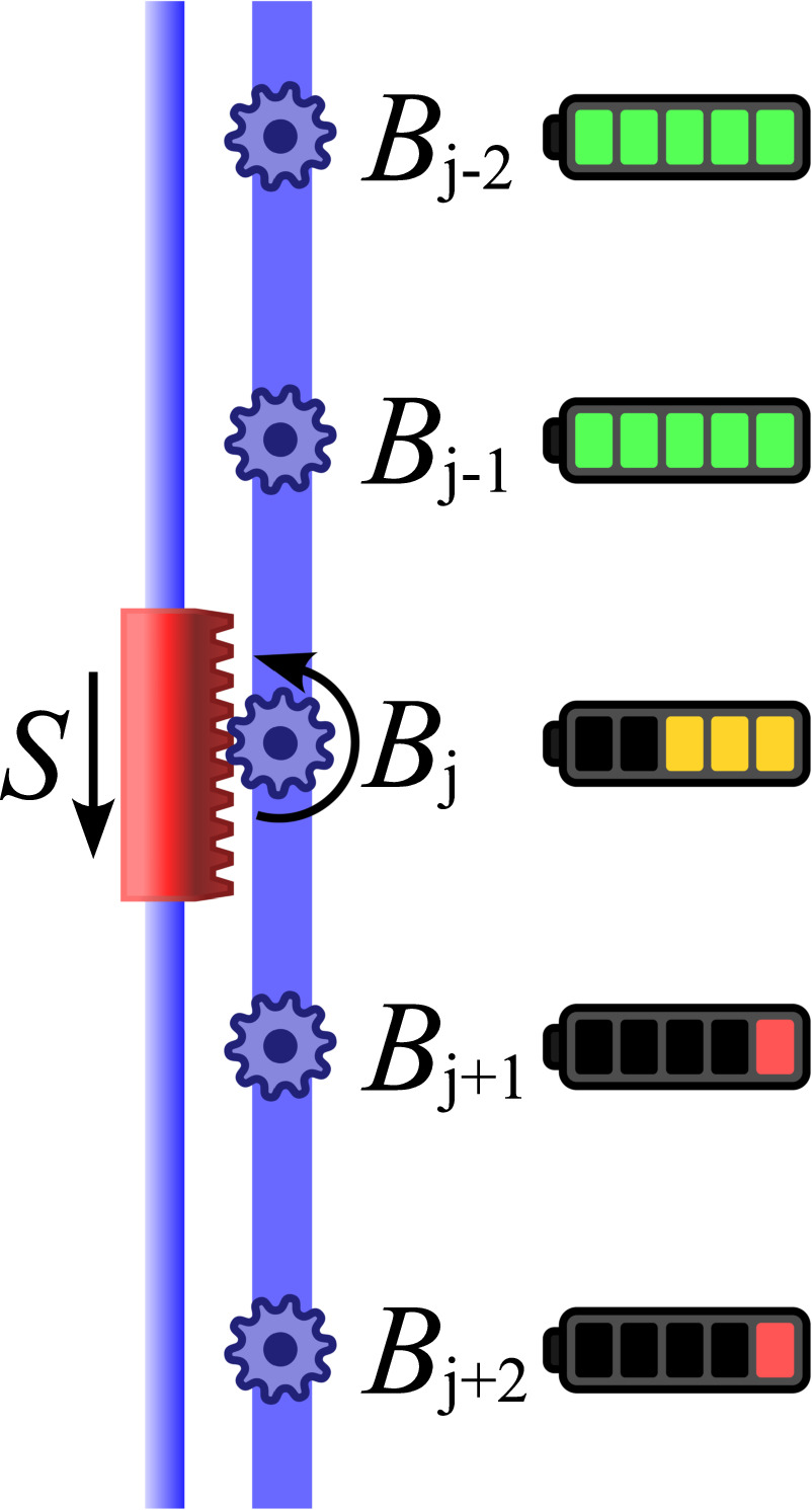Empirical adequacy of the time operator canonically conjugate to a ...