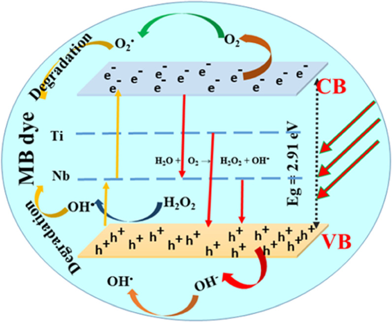 Hydrothermally synthesized Nb -doped TiO2 nanosheets for efficient ...