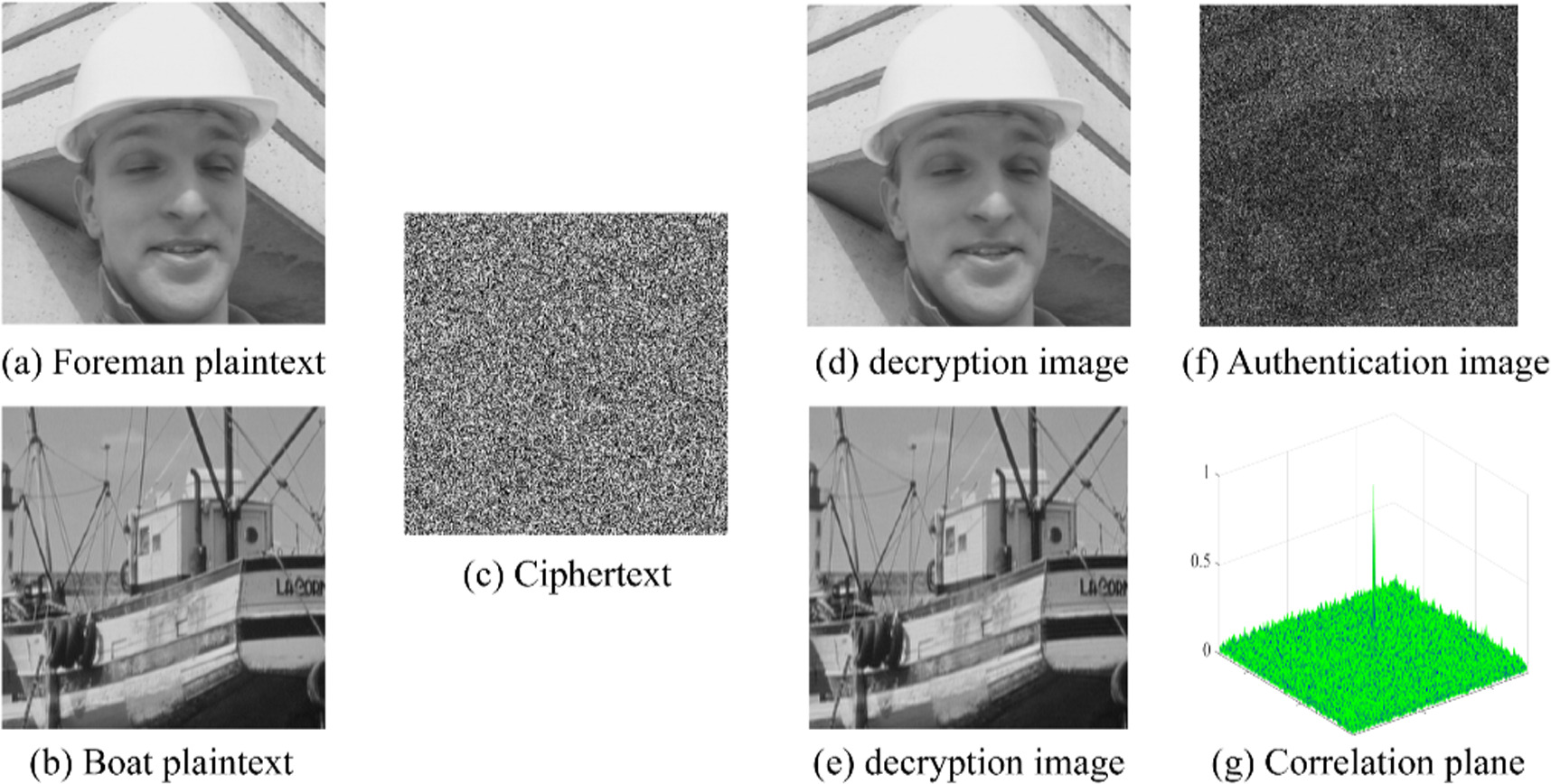 Double-image encryption and authentication scheme based on compressed sensing and double random ...