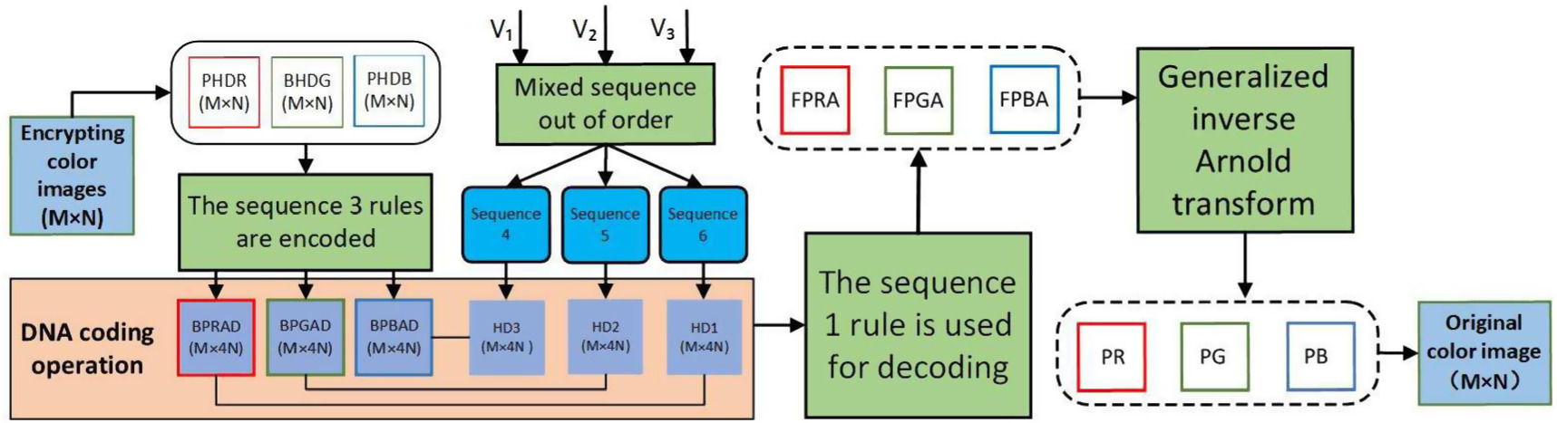 DNA dynamic coding image encryption algorithm with a meminductor chaotic system - IOPscience