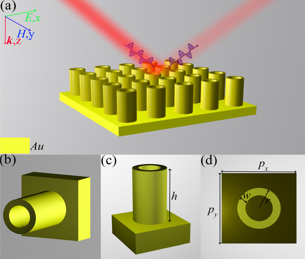 Dual-narrowband terahertz metamaterial absorber based on all-metal vertical ring array for ...