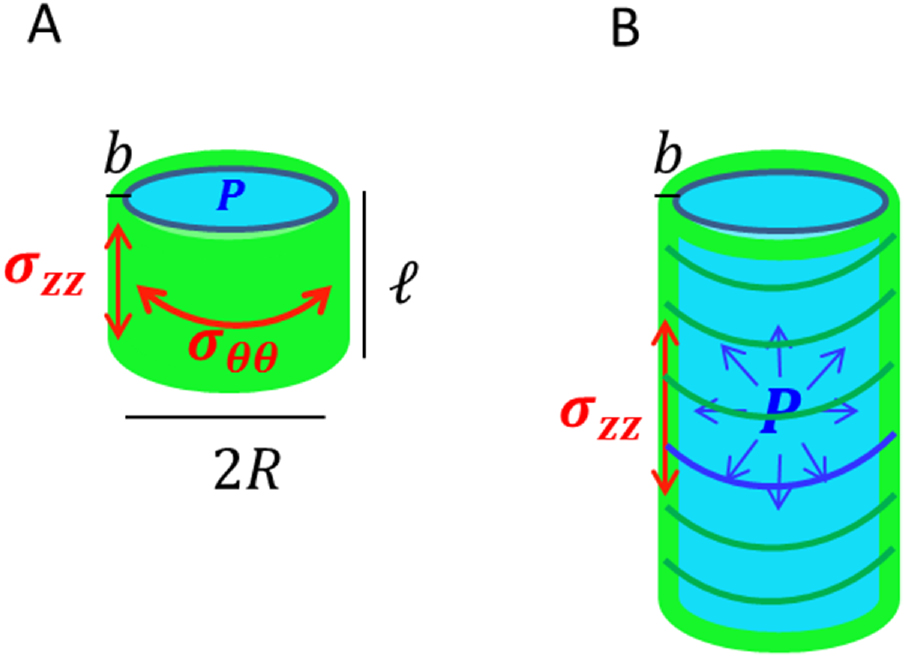 Physical root–soil interactions - IOPscience