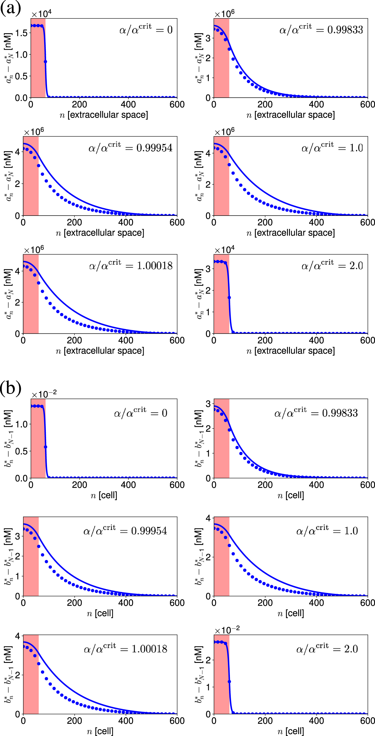 Long-range morphogen gradient formation by cell-to-cell signal ...