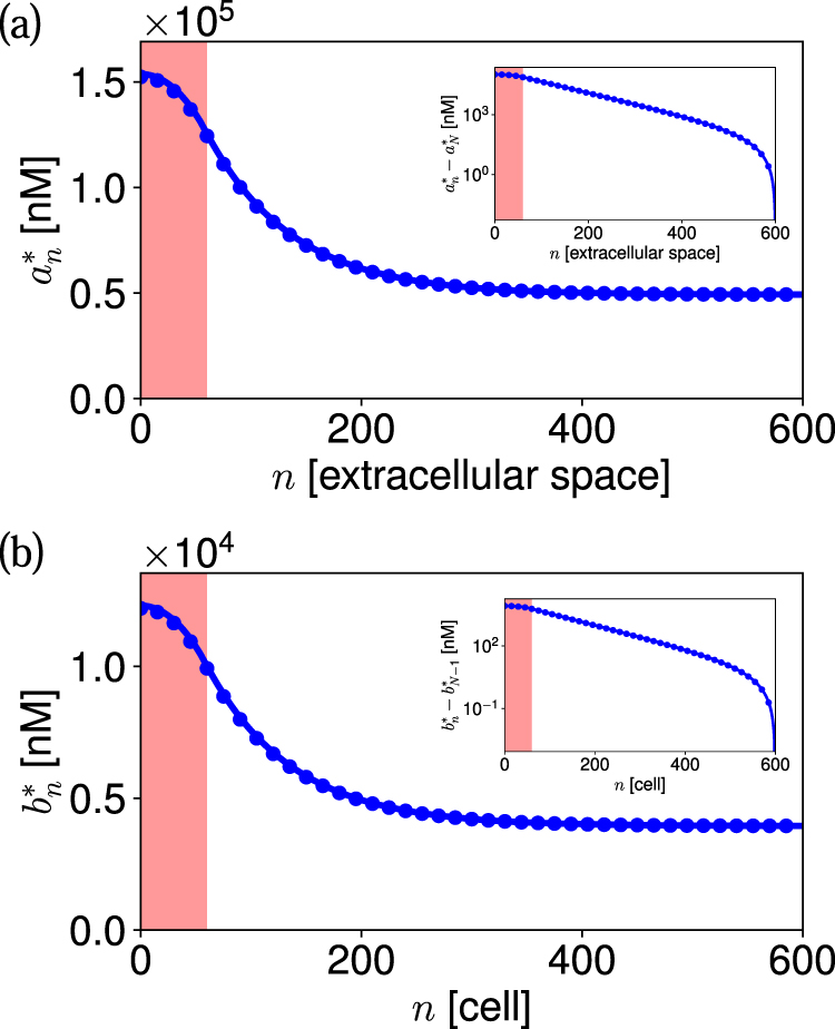 Long-range morphogen gradient formation by cell-to-cell signal ...