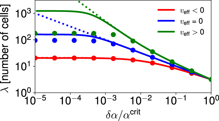 Long-range morphogen gradient formation by cell-to-cell signal ...