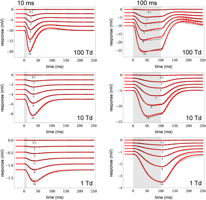 Dynamical adaptation in photoreceptors with gain control - IOPscience