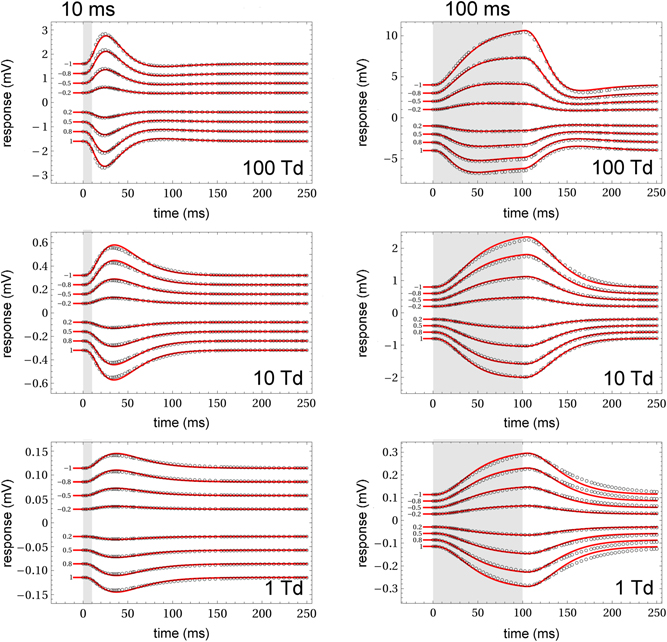 Dynamical adaptation in photoreceptors with gain control - IOPscience