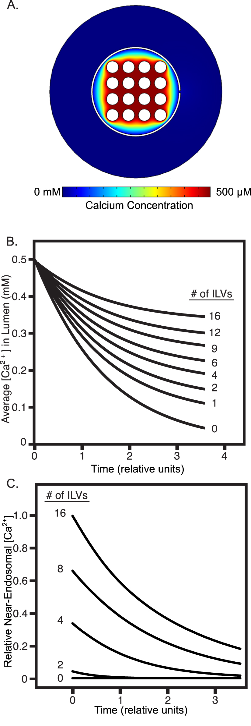 Calcium storage in multivesicular endo-lysosome - IOPscience