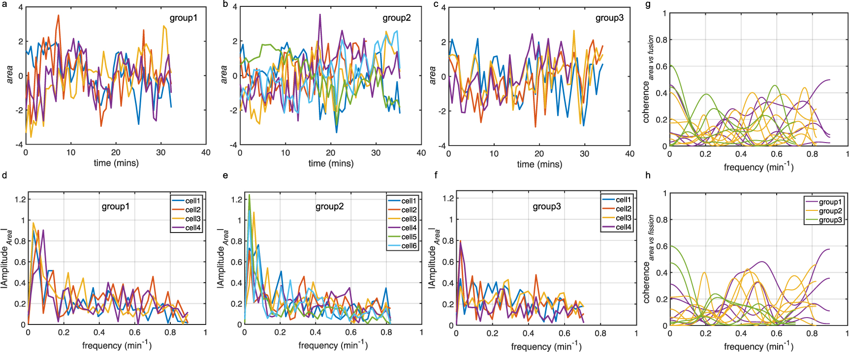 STIPS algorithm enables tracking labyrinthine patterns and reveals ...