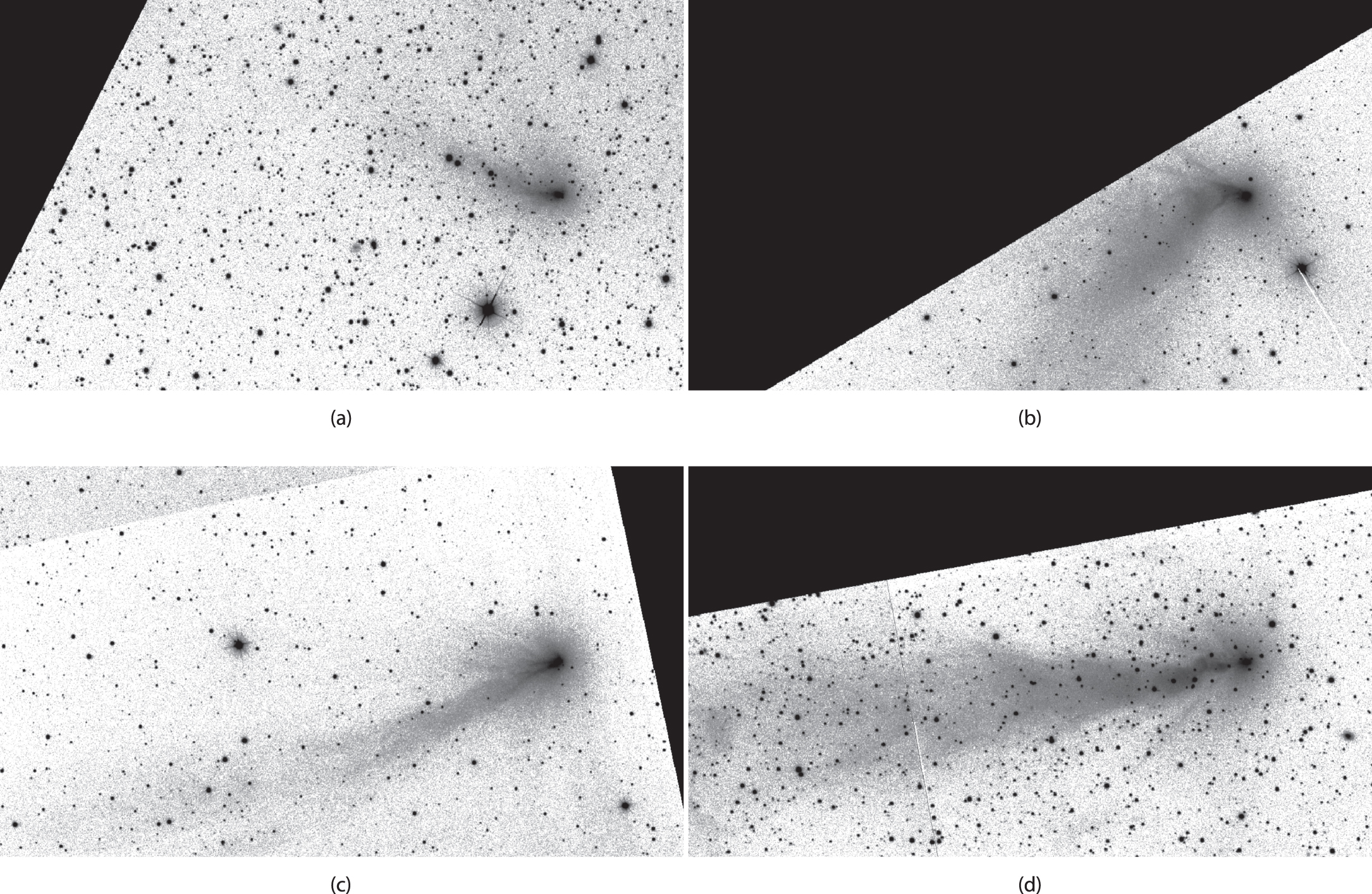 The Zwicky Transient Facility: System Overview, Performance, and First ...