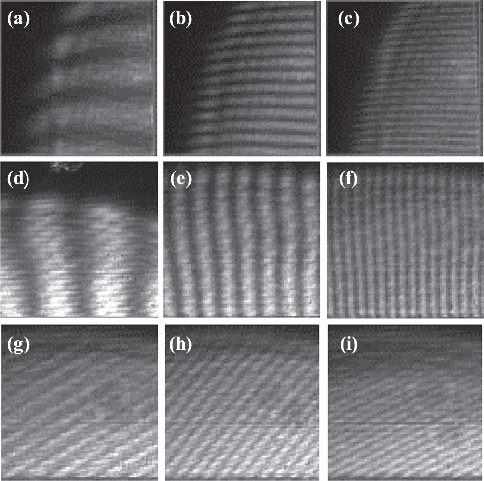 A Fast and High-precision Alignment Method for IFU Based on Optical ...