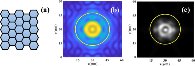 A Fast and High-precision Alignment Method for IFU Based on Optical ...