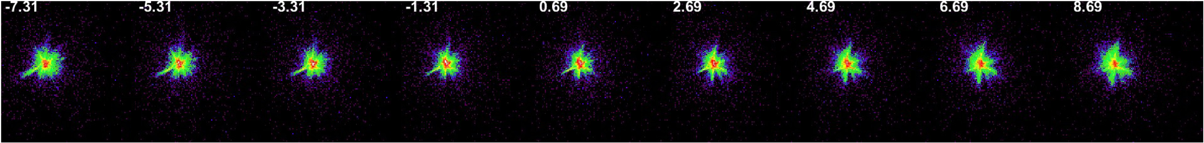 Cross-calibration of an eXTP Mirror Prototype at 100XF and PANTER ...