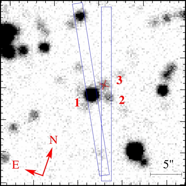 OPTICAL SPECTRA OF CANDIDATE SOUTHERN HEMISPHERE INTERNATIONAL ...