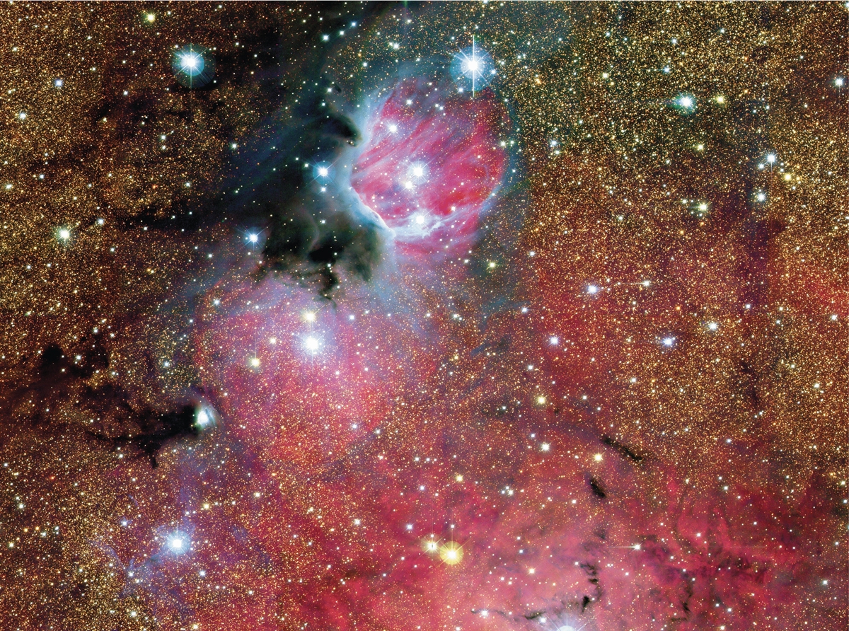 THE YOUNG CLUSTER IN IC 1274 - IOPscience